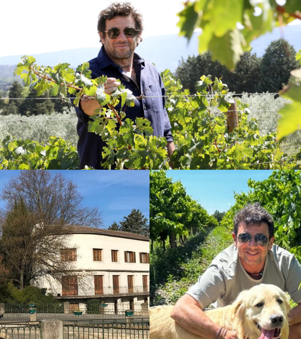 Construction d'un hôtel, sa vie en Provence... Patrick Bruel, une passion nommée l'Isle-sur-la ...